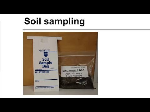 Soil Sampling