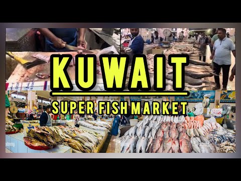 Fish Market In Kuwait | Fresh Fish In Kuwait | Souq Sharq Kuwait City