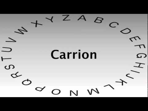 SAT Vocabulary Words and Definitions — Carrion