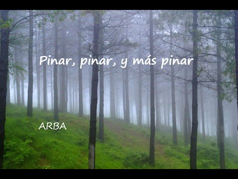 Pinar, pinar y más pinar