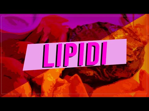 Biomolecole: I LIPIDI | Pillole di Scienza