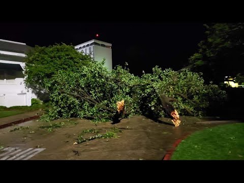 Two dead after tornado rips through Ruston, Louisiana Tech campus