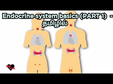 endocrine system in tamil (PART-1) MED TAMIL