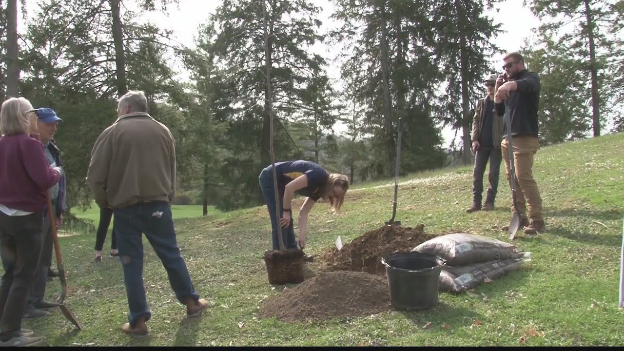 The Friendly City celebrates Arbor Day with native tree planting at Wheeling Park