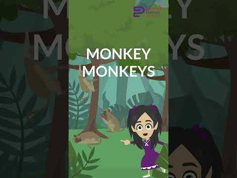 "Y to IES: Mastering the Plural of Words Ending with Y"#PluralsMadeEasy#WordWizardry#GrammarHacks