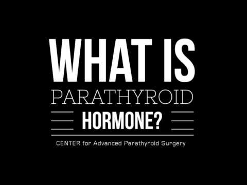 What is parathyroid hormone? | Dr. Babak Larian