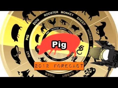 Year of the Pig (2012 Chinese Zodiac Forecast Pt 12)