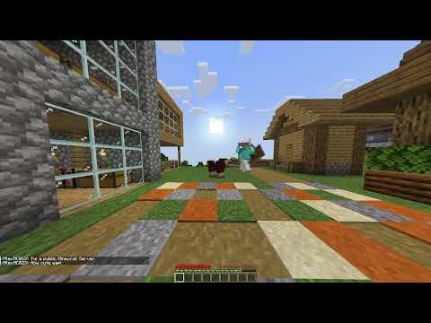 The first video