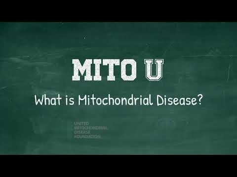 Mito U: What is Mitochondrial Disease?