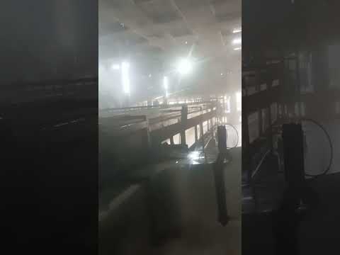 CTC Tea cfm farmenting
