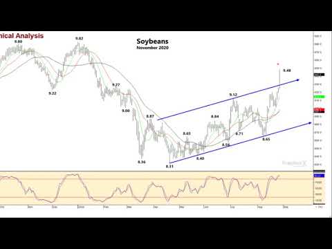 November Soybean Chart | Heartland Farm Partners