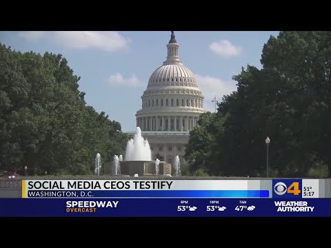 Social media CEOs testify