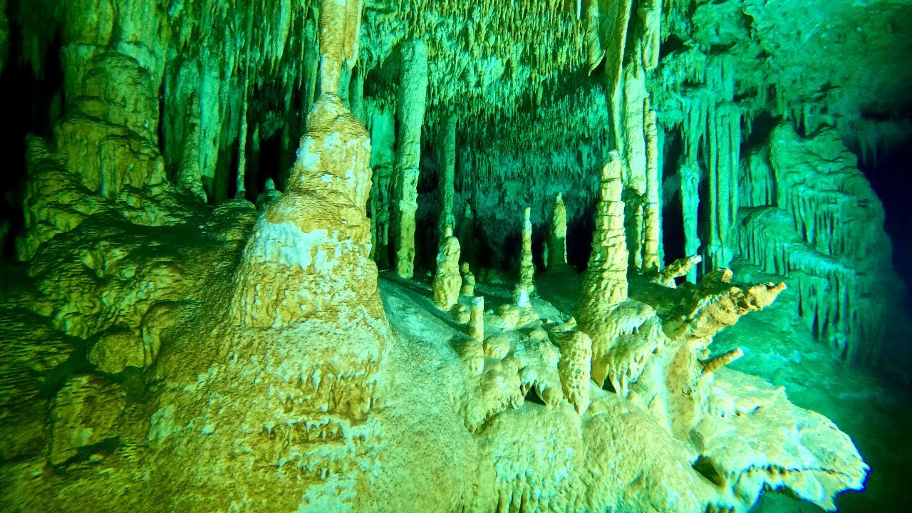 Cenote DreamGate : Diving Into Eternity