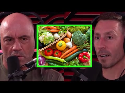 Paul Saladino on the Negative Effects of Eating Too Many Plants