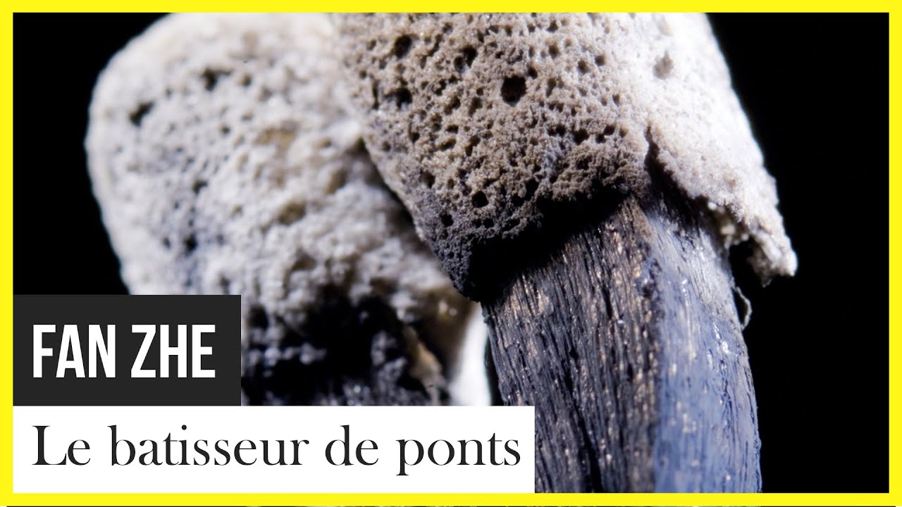 Documentaire | Fan Zhe, le bâtisseur de ponts