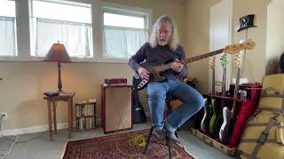 Dingwall Guitars Custom Shop Super J 4-string Bass Guitar - What To ...