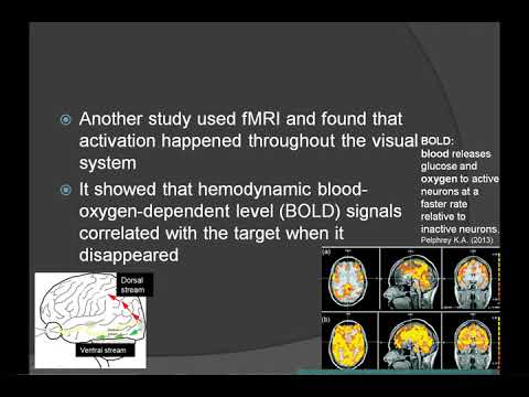 Motion Induced Blindness