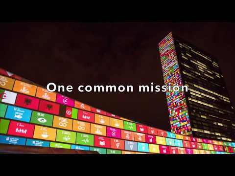UN Environment Management Group