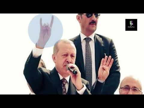 Grey Wolves (Turkish Neo-Fascists)