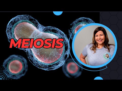Meiosis (with Mitosis Comparison)