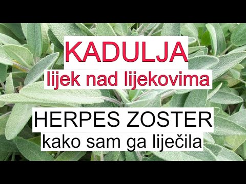 KADULJA (ŽALFIJA) LIJEČI HERPES ZOSTER (Salvia plant can treat Shingles)