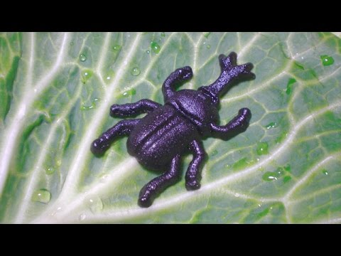 ๆ่ซใฐใใไฝใใMaking beetle shaped candy