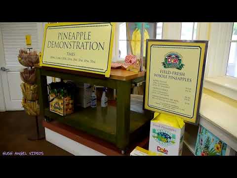 Dole Plantation [Hawaii]