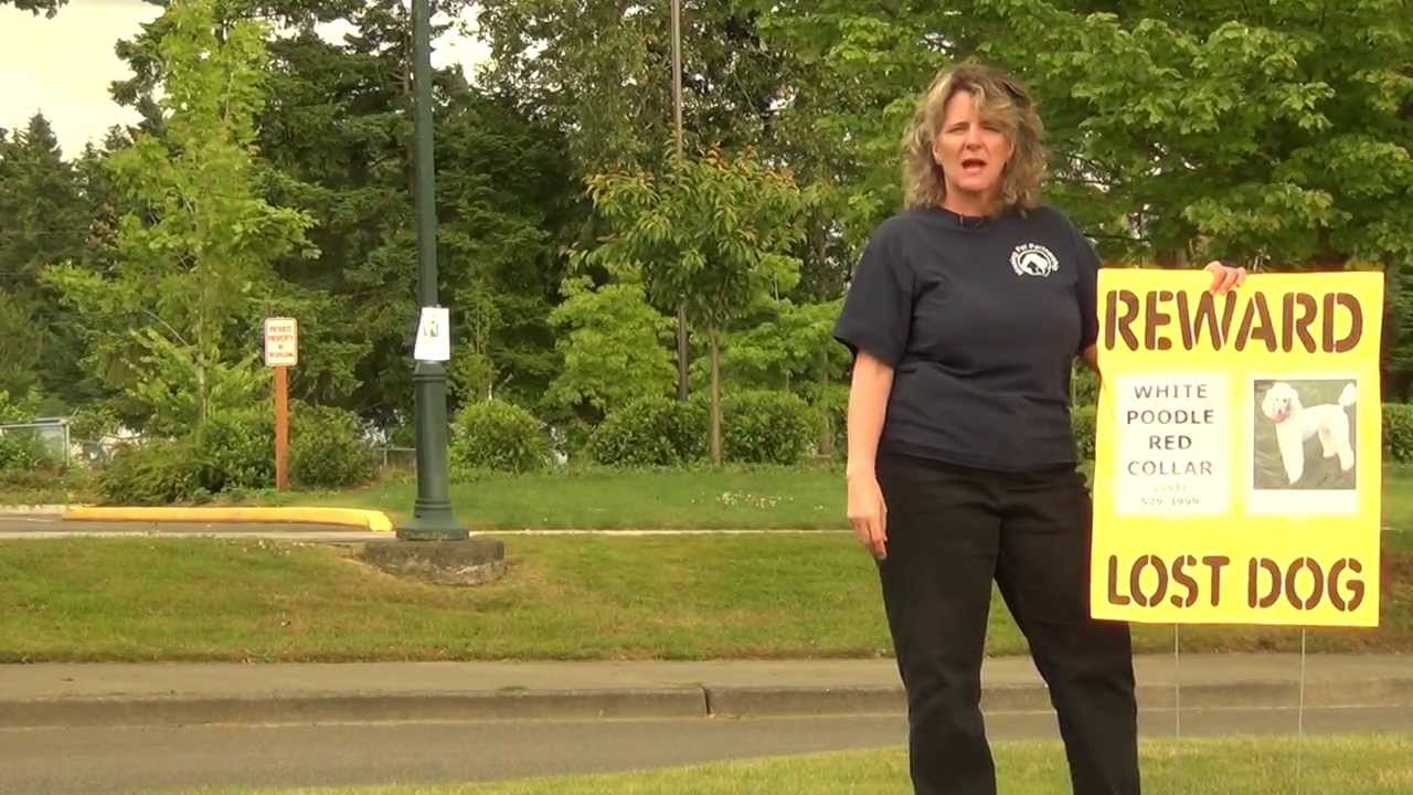 How to Post a Poster