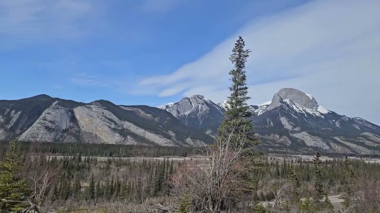 Roche Miette Mountain - Jasper 