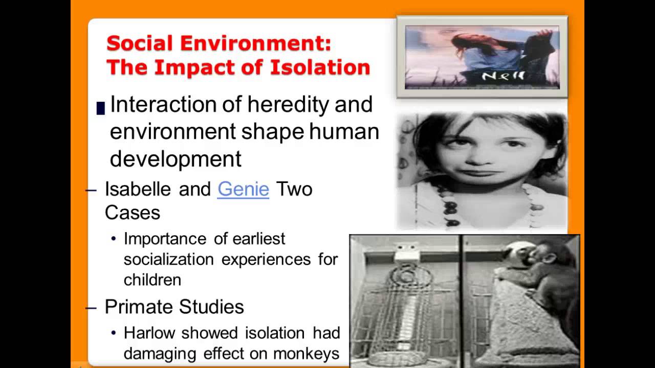 Chapter 4- Socialization- Part 1