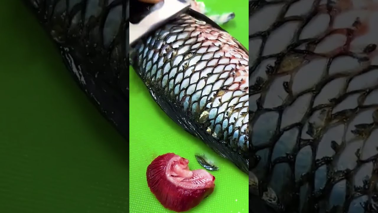 Say Goodbye to Fish Scales: Testing the Best Fish Scalers for Your Kitchen!