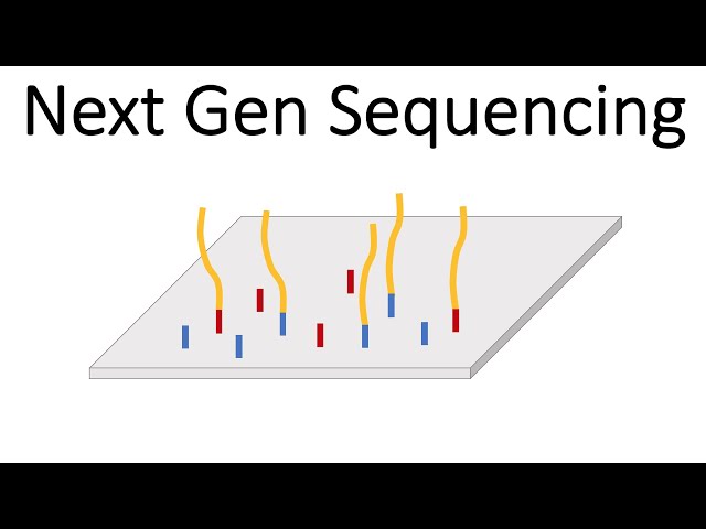 Understanding Next Generation Sequencing: A Comprehensive Overview | Galaxy