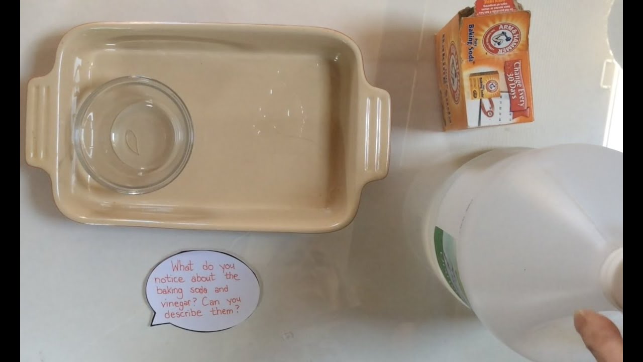 PART 2: Doing Science with Kids