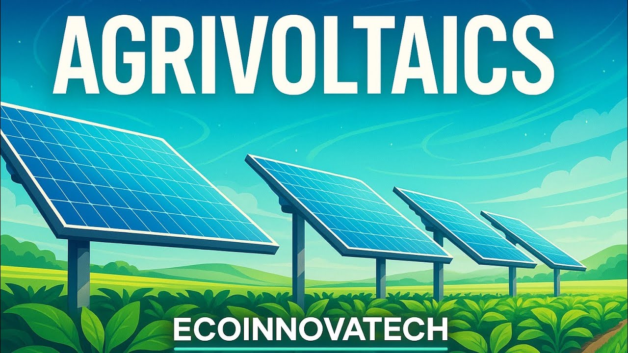 Agrivoltaics: Solar Power Meets Farming Success!