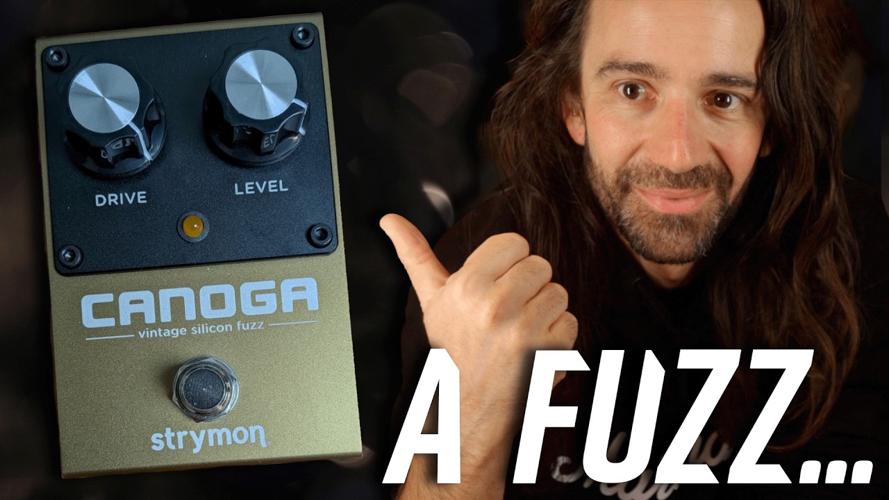 Strymon Does Fuzz
