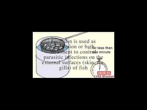 Formalin use in fisheries