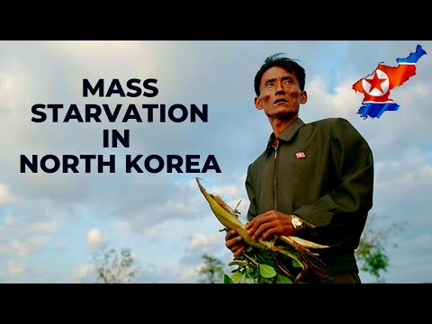 Breaking: 11Million North Koreans Are Facing Severe Food Shortage Under Kim Jong-Un's Regime in 2021