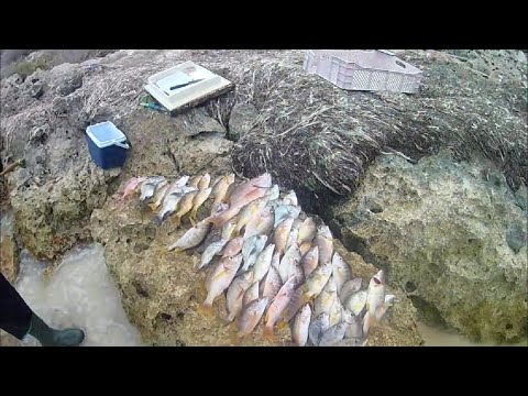3 DAYS FISHING EXPEDITION
