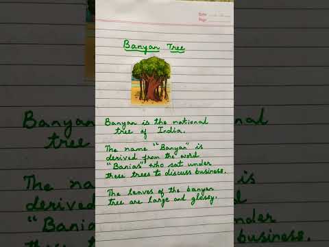 Banyan tree facts