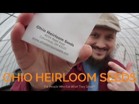 Ohio Heirloom Seeds | Heirloom Seed Company Spotlight