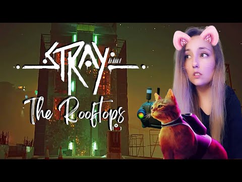 Steam Community :: Video :: Stray: The Rooftops - Part 4 with the Royalty