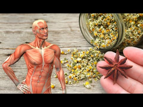 Mix Star Anise and Chamomile For These Amazing Benefits