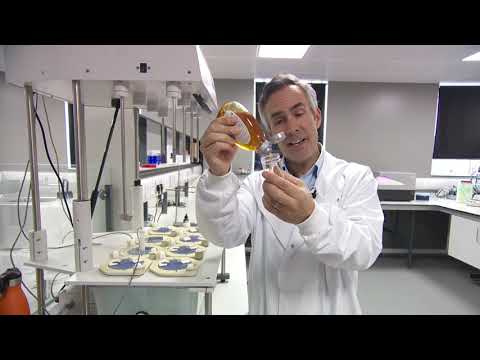 Honey could be the answer to anti-biotic resistance