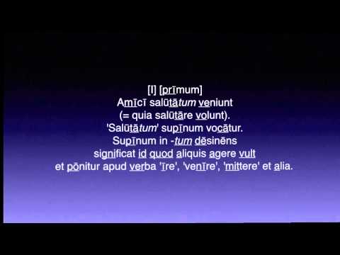 Cap. 22 – CAVE CANEM – Lēctiō grammatica