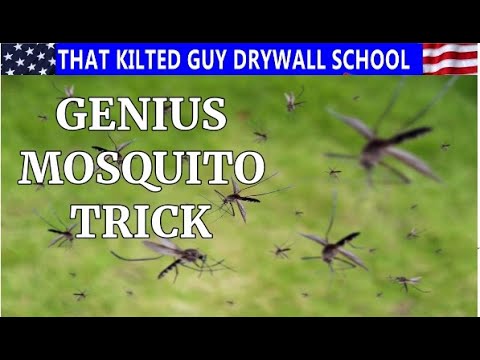 Genius Trick to get rid of Mosquitos for Pennies #Shorts