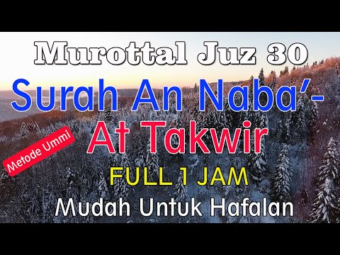 Murottal Juz 30 Juz Amma Surah An Naba - At Takwir Arab, latin Terjemahnya