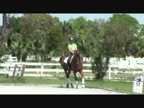 Fancy School Grand Prix 1997 KPWN Pino-W represented by Euro Dressage Center