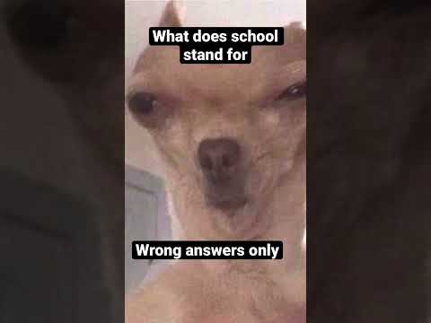 What does school stand for
