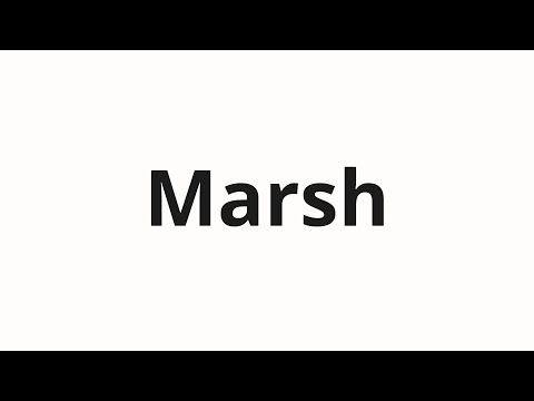 How to pronounce Marsh