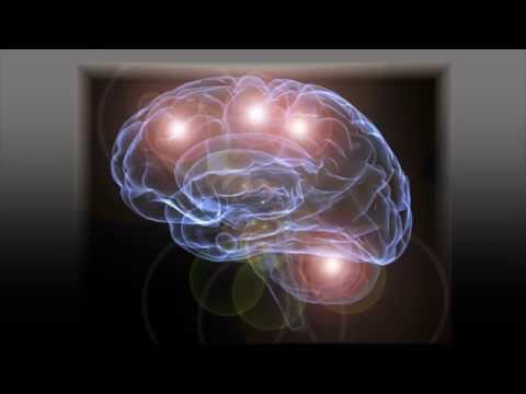 Muscle Memory Explained